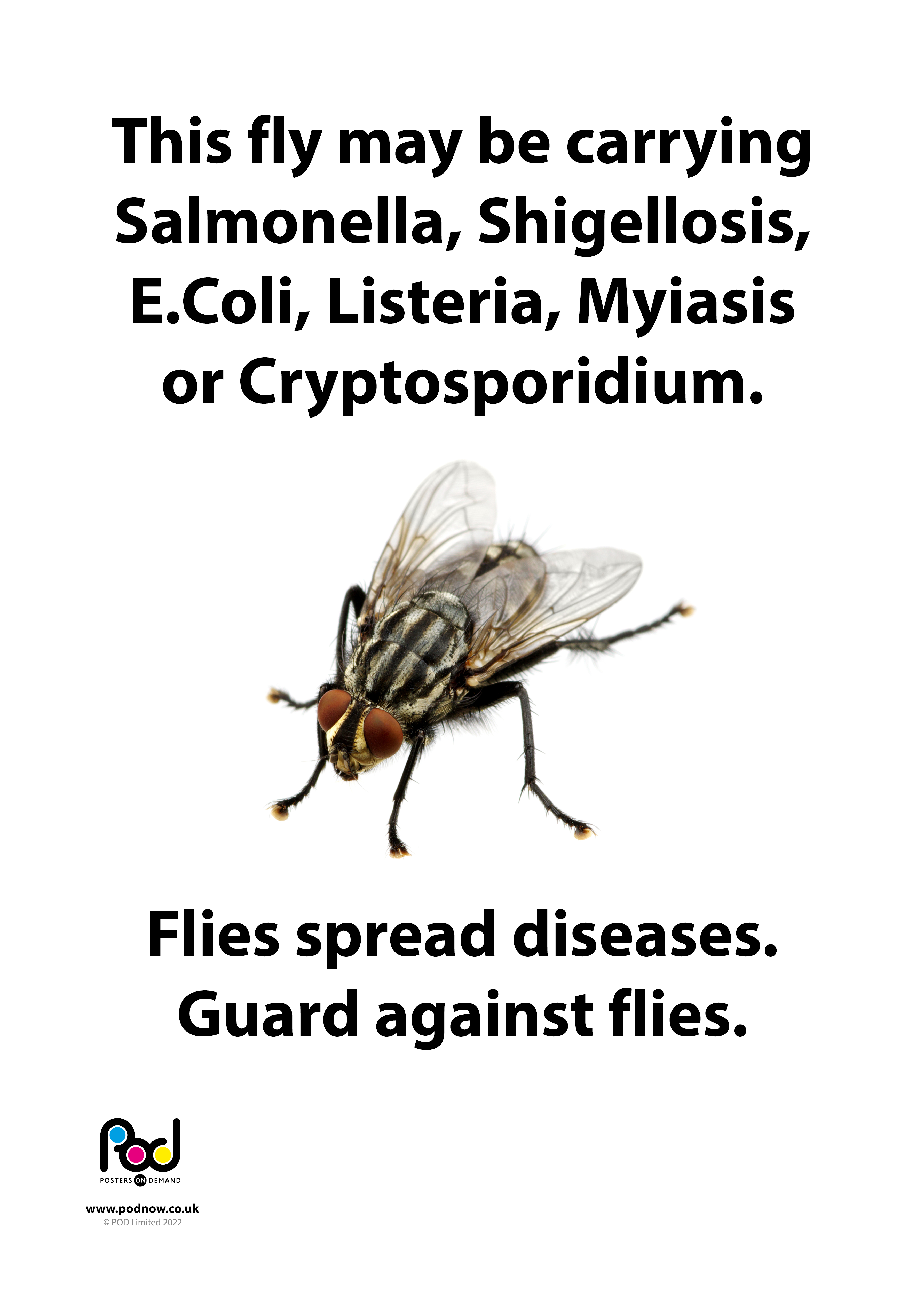 Flies - carrying salmonella | POD | Posters On Demand