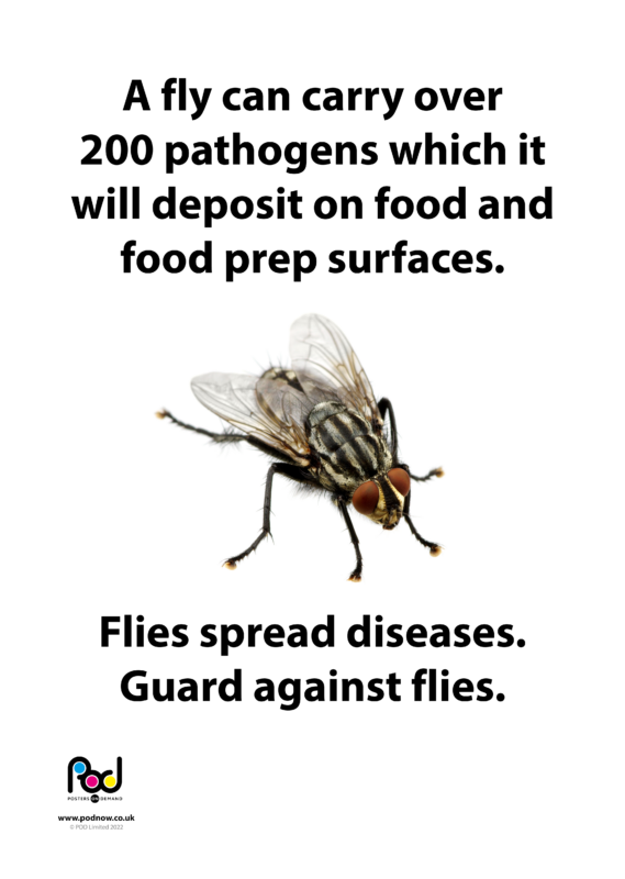 Flies - carrying pathogens | POD | Posters On Demand