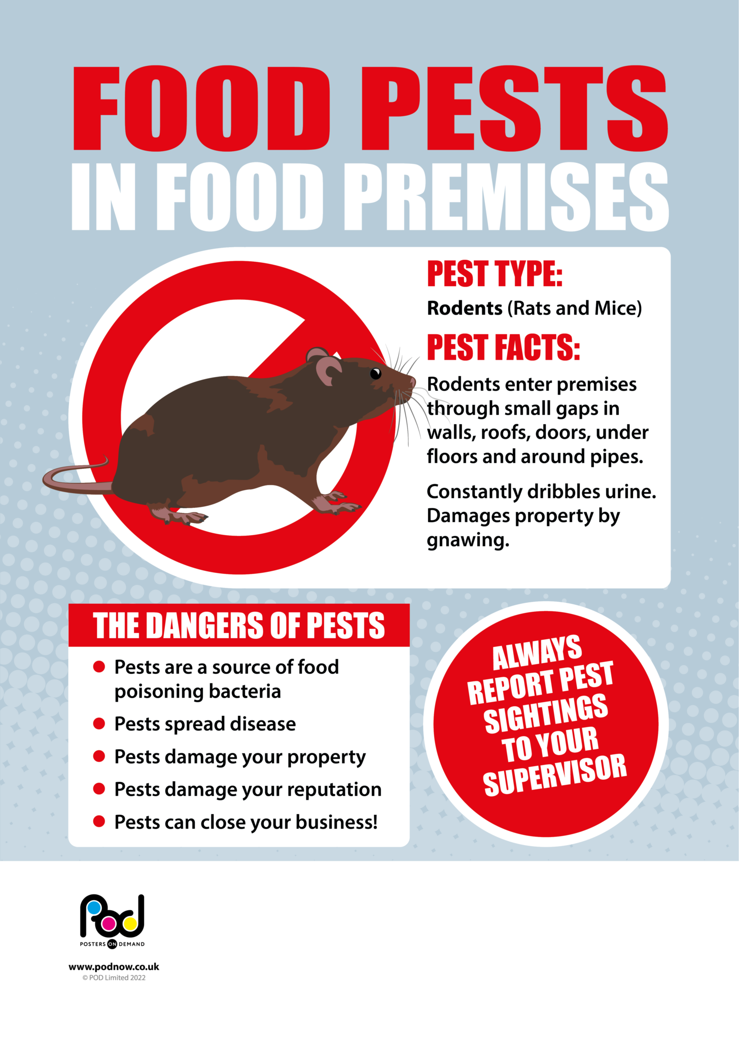 Food Pests - Rat | POD | Posters On Demand