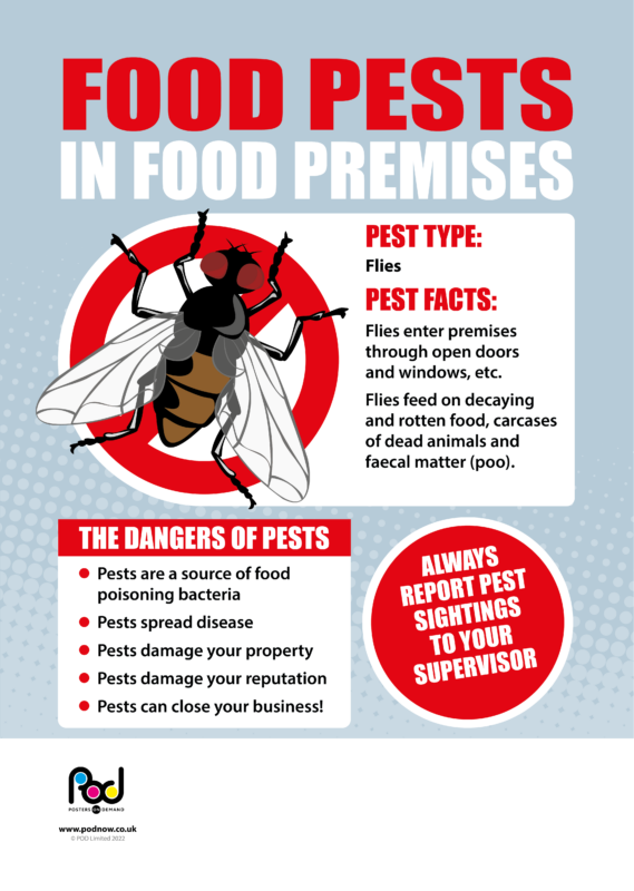 Food Pests - Fly | POD | Posters On Demand
