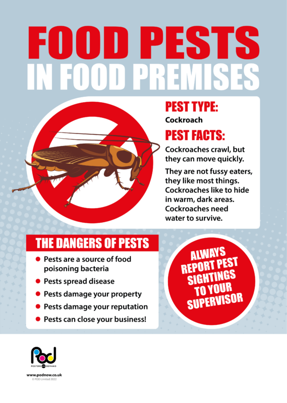 Food Pests - Cockroach | POD | Posters On Demand
