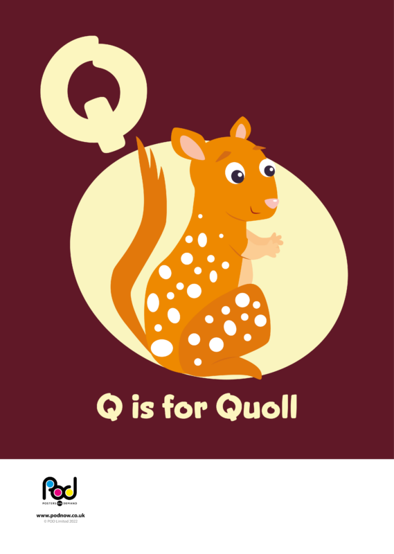 Animal Alphabet - Q | POD | Posters On Demand