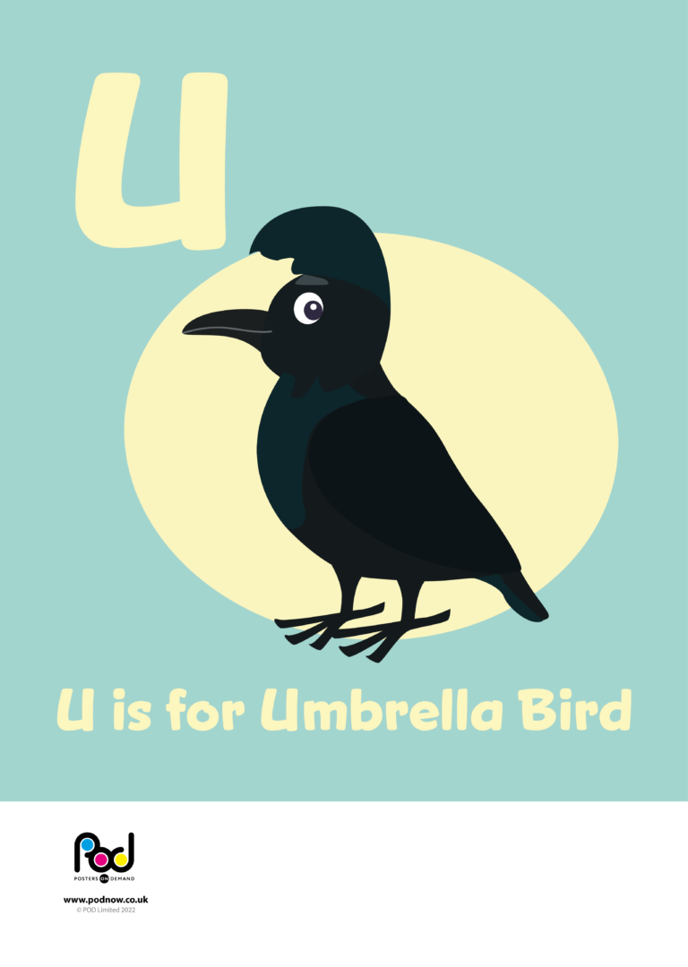 Animal Alphabet - U | POD | Posters On Demand