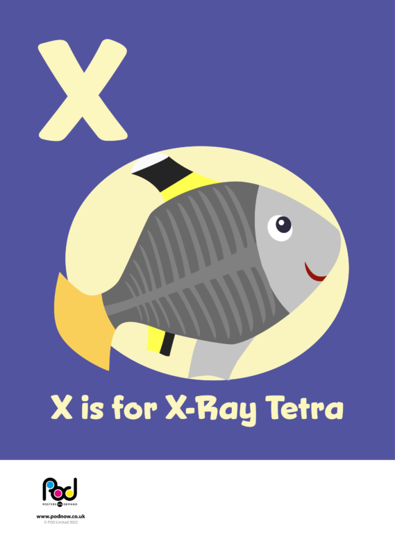 Animal Alphabet - X | POD | Posters On Demand