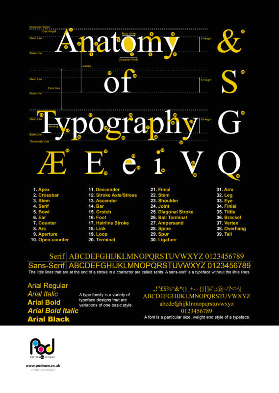 Anatomy of typography | POD | Posters On Demand