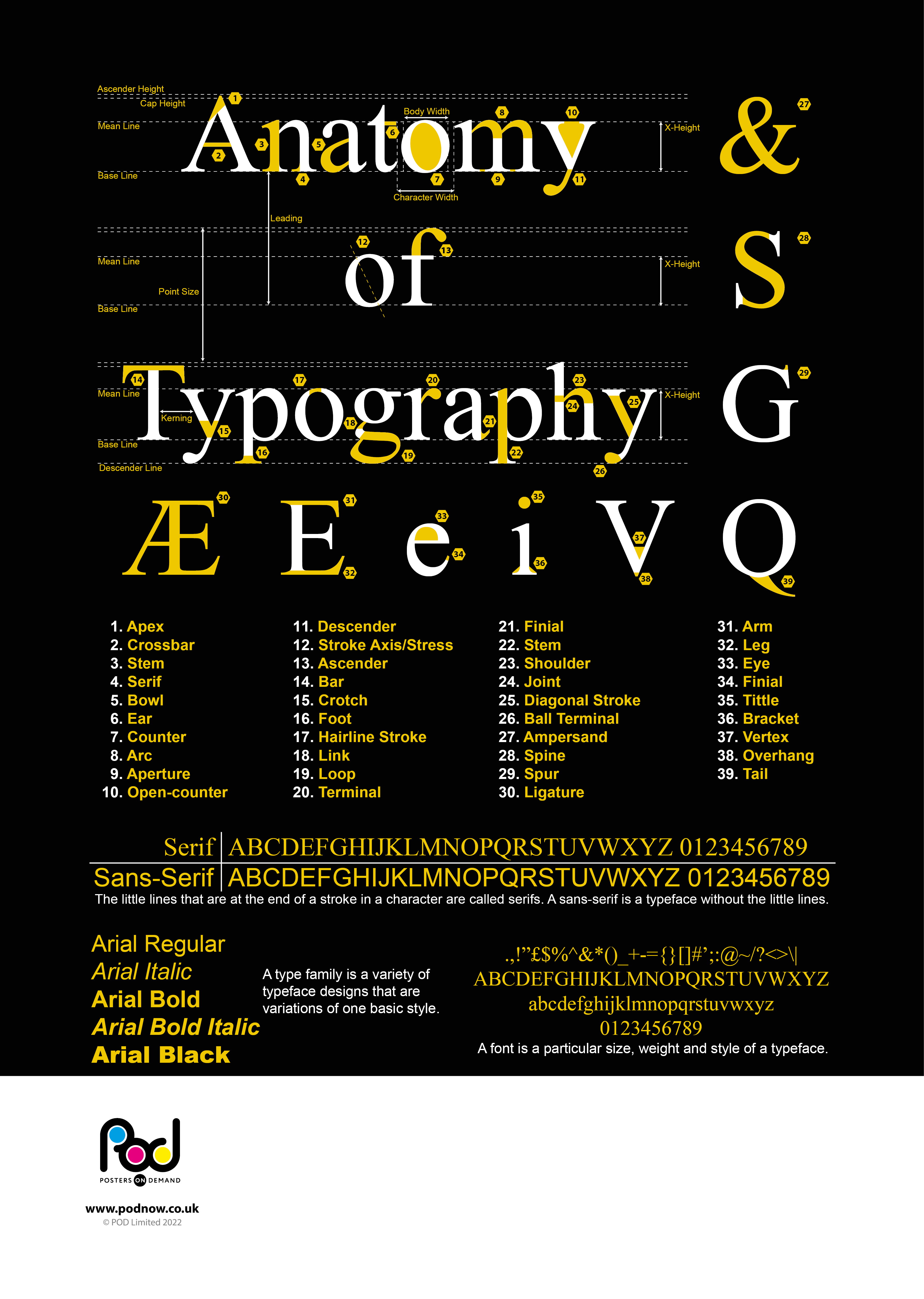 Anatomy Of Typography POD Posters On Demand Anatomy Of Typography POD Posters On Demand