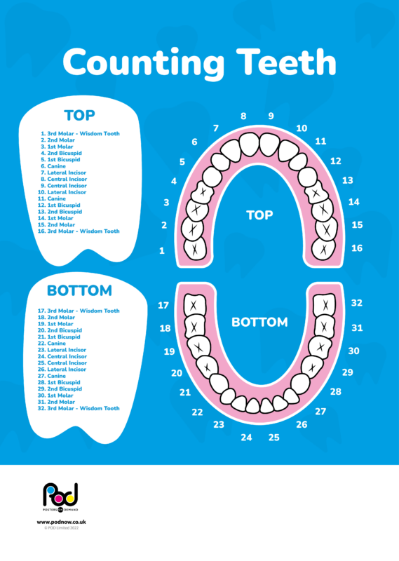 Counting teeth | POD | Posters On Demand