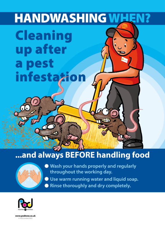Cleaning up after a pest infestation | POD | Posters On Demand